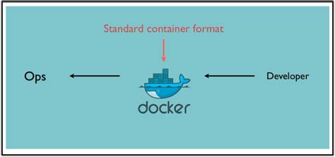 top 10 best docker video tutorials learn docker step by step topzenith