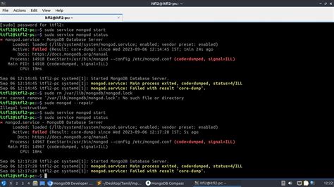 could not start mongodb in ubuntu installation and upgrades mongodb