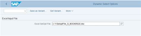 sap abap central dynamic selection screen with alv ida and excel