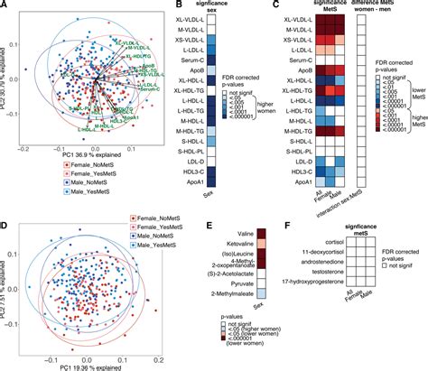 sex specific regulation of inflammation and metabolic syndrome in