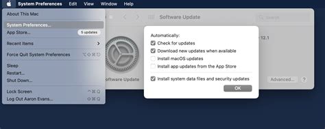 install macos updates remotely via command line over ssh fijiaaron