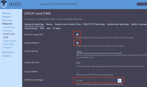 Provide Dns Server To Connected Clients Automatically Installing And