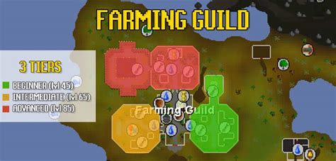 Osrs Complete 1 99 Farming Guide Osrs Guide 2024