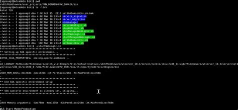 abdulwasiq oracle soa suite 11g installation starting weblogic server