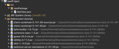 java selenium lenium does not