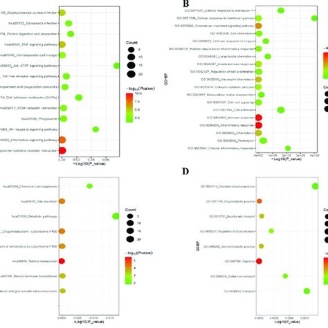 Kegg Pathway Enrichment Analysis And Go Analysis Of Up Regulated And
