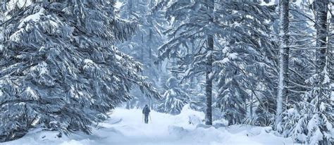 Grand Hiver De 1709 Le Plus Glacial Des 500 Dernières Années