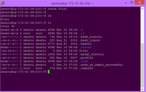 how to use cat in linux
