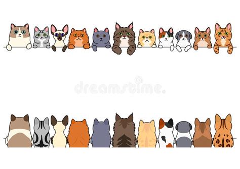 Various Cute Cats Border Set Stock Vector Illustration Of Design