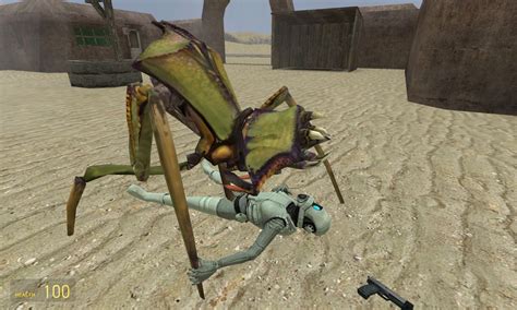 rule 34 16 9 3d 3d artwork antlion combine combine assassin female