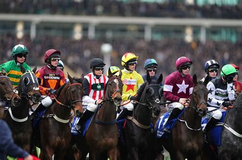 Cheltenham Festival 2024 Live Gold Cup Latest Results Updates And