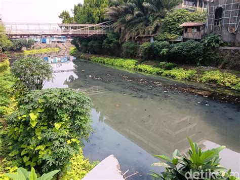 Berita Dan Informasi Sodetan Ciliwung Terkini Dan Terbaru Hari Ini