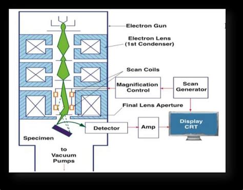 Scanning Electron Microscope Diagram