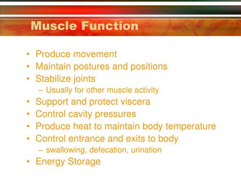 Ppt Muscle Structure And Function Powerpoint Presentation Free