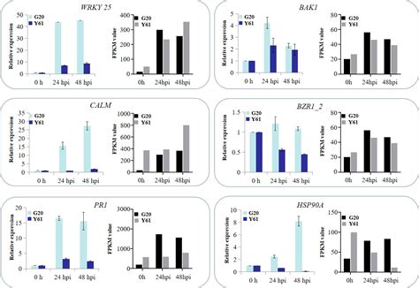 Frontiers Comparative Transcriptomics And Genomic Analyses Reveal