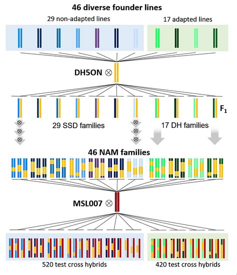 Figure 1 From How Population Structure Impacts Genomic Selection