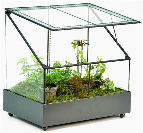 Large Wardian Case Terrarium Ann Inspired
