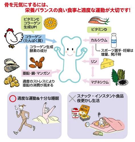 骨を強くする栄養素 株式会社コダマ