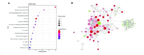 Comparison Of The Proteomics Analysis By Kegg Pathway And Ppi Network