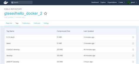 patterns for continuous integration docker travis ci 2 prod