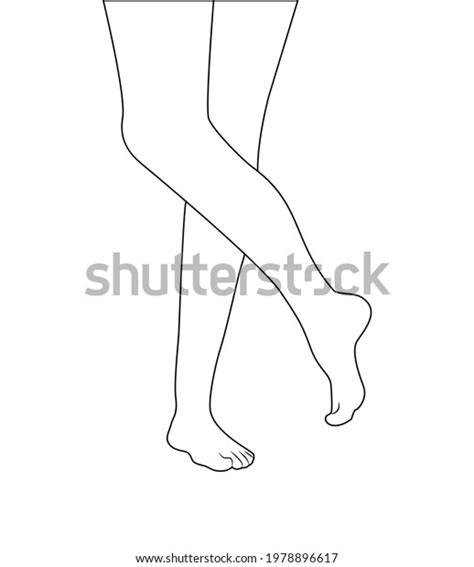 Beautiful Sexy Bare Legs Of Woman Silhouette Outline Drawing Vector