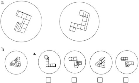 sex differences in mental rotation tasks not just in the mental