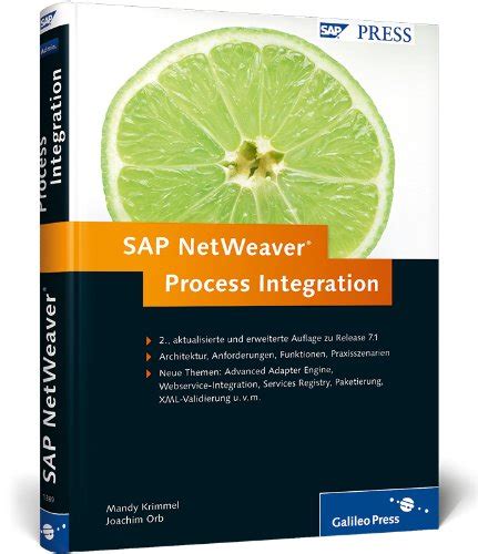 sap netweaver process integration by unknown author goodreads