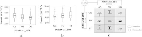 Additive Dominant And Epistatic Variations Of Two Significant Snps On
