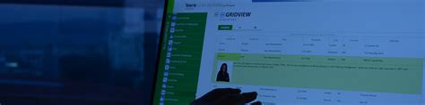 gridview within a gridview in ui for winforms gridview telerik forums