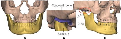 Frontiers 3d Printing Experimental Validation Of The Finite Element