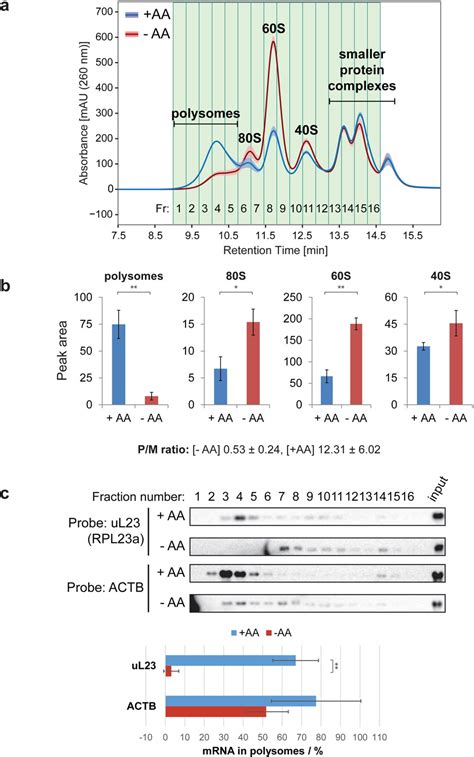 Efficient Analysis Of Mammalian Polysomes In Cells And Tissues Using