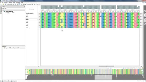 unipro ugene podcast 44 overview in the alignment editor youtube