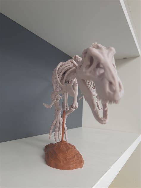 3d Printed T Rex Skeleton • Made With Ender 5 S1・cults