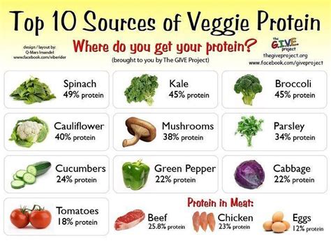 Top 10 Sources Of Veggie Protein Vegetarians Photo 37256173 Fanpop