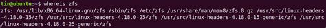 how to set up a zfs storage pool on ubuntu vitux