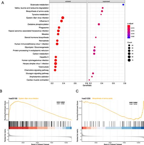 Kegg And Gsea A Significantly Enriched Activated And Suppressed Kegg