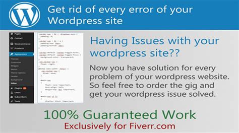 fix wordpress errors or wordpress issue by bulbul84 fiverr