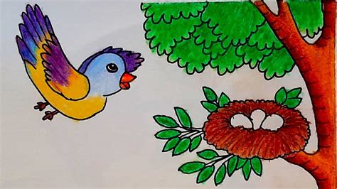 How To Draw A Weaver Bird Nest This Name Comes From The Books Pdf