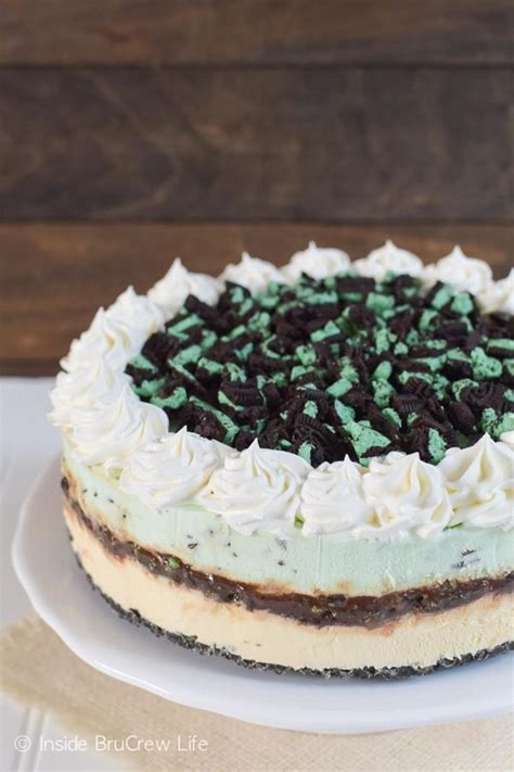 Vanilla Mint Chip Ice Cream Cake Recipe Just A Pinch Recipes