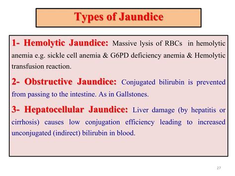 Ppt Liver Function Tests Lfts Powerpoint Presentation Free