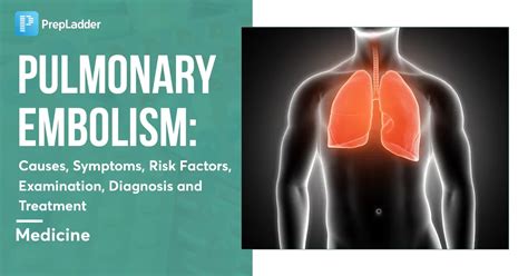 What Is Pulmonary Embolism Causes Symptoms And Diagno