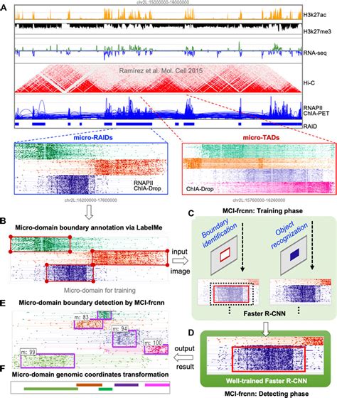 frontiers mci frcnn a deep learning method for topological micro