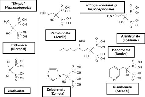 The Structure Of Simple And Nitrogen Containing Bisphosphonates