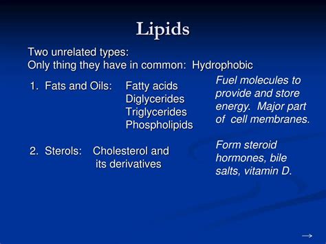 Ppt Lipids Powerpoint Presentation Free Download Id 2029253
