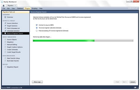 mysql how to guide to database migration from microsoft sql server