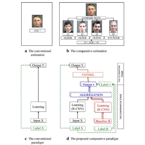 Schematic Diagram Of A C The Conventional Paradigm For Facial Age