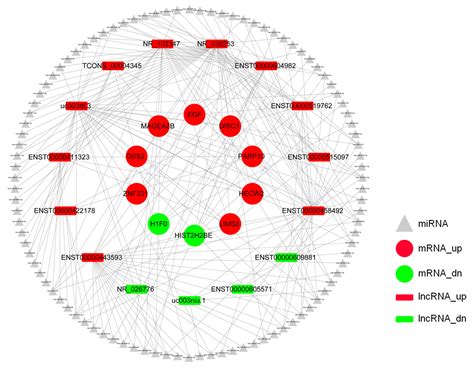 Ijms Free Full Text Integrated Analysis Of The Altered Lncrnas And