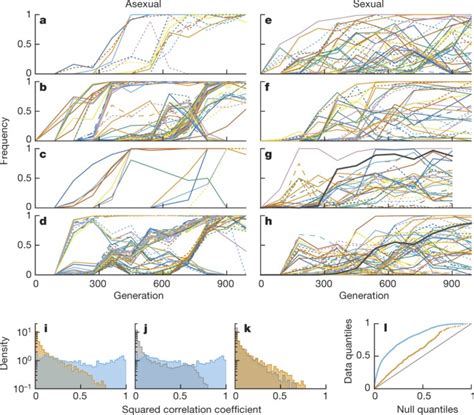 sex speeds adaptation by altering the dynamics of molecular evolution