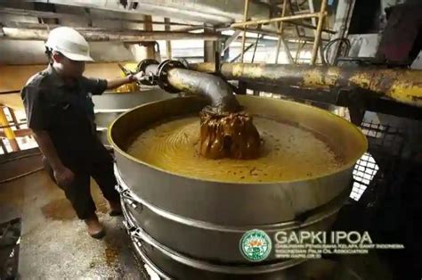 Musim Dingin Bisnis Kelapa Sawit Di Akhir Tahun Makin Cuan Elaeis