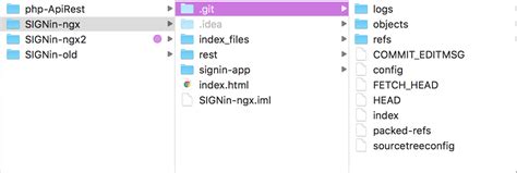 git can t commit angular folder on my project with intellij or